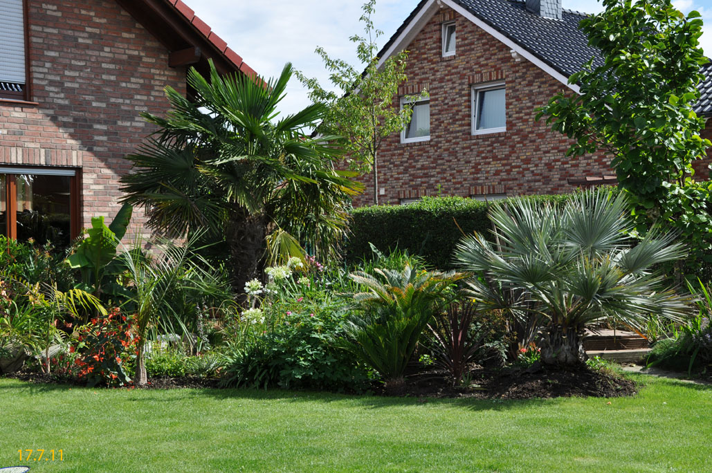Garten 2011 -Exoten und Palmen Claus Willich